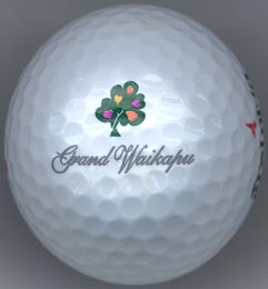 Golf Courses in Maui County